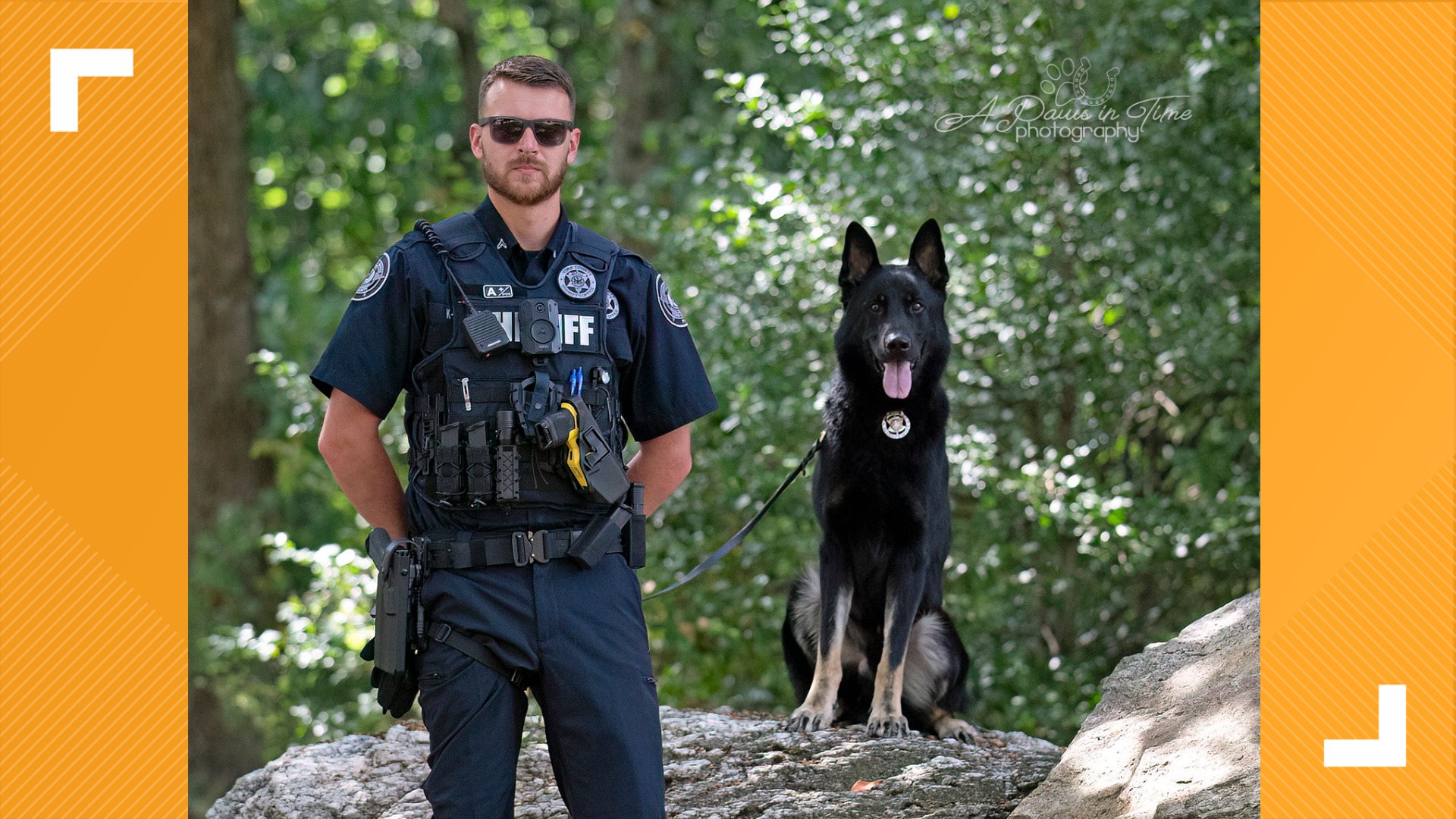 Meet the newest addition to the York County Sheriff's Office | fox43.com