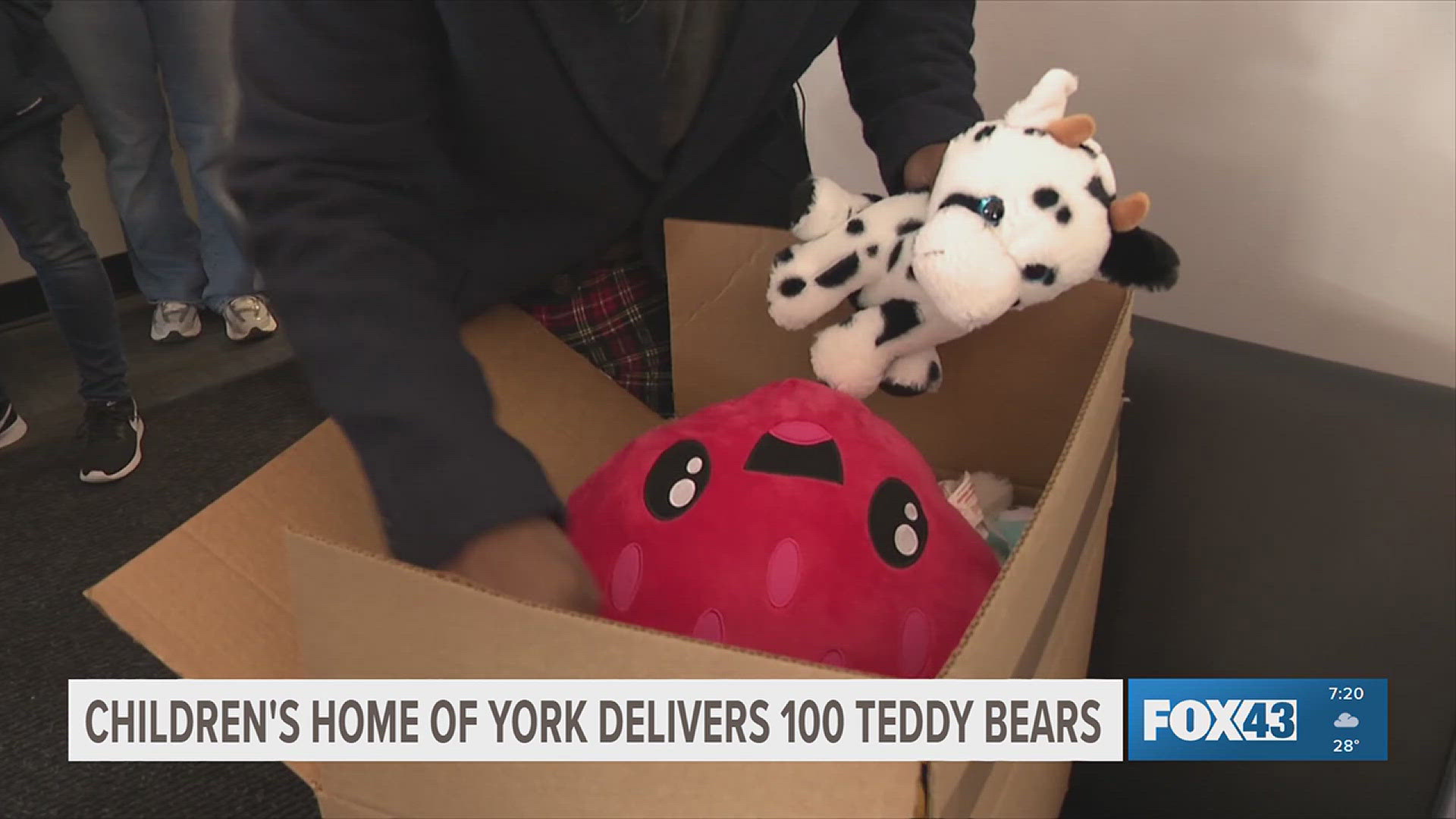 York Teddy Bear Giveaway | fox43.com