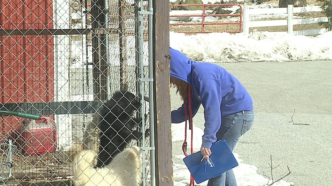 Humane officer investigates animals left out in the cold in Lancaster ...
