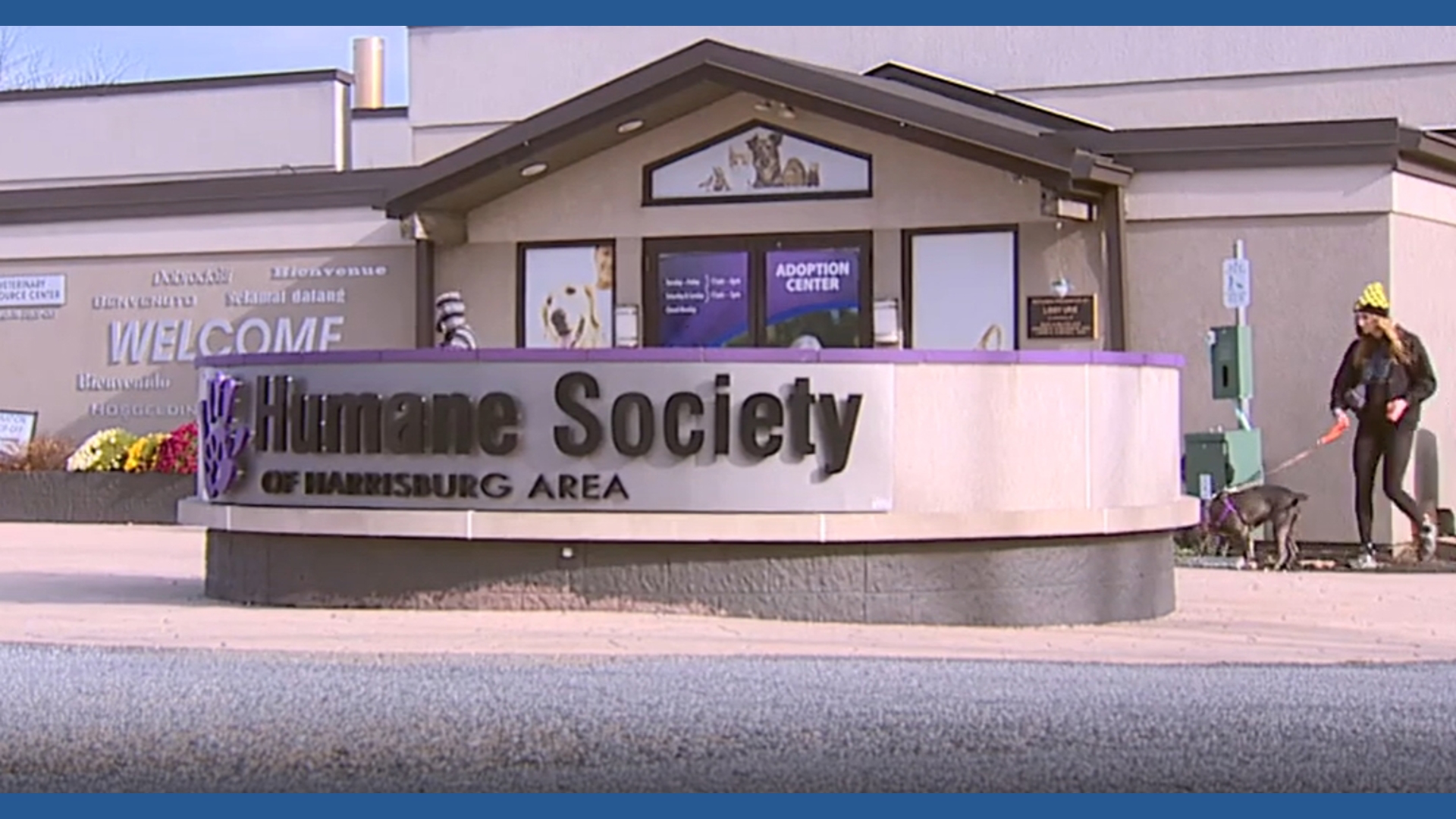 Humane Society of Harrisburg asking for donations ahead of winter ...