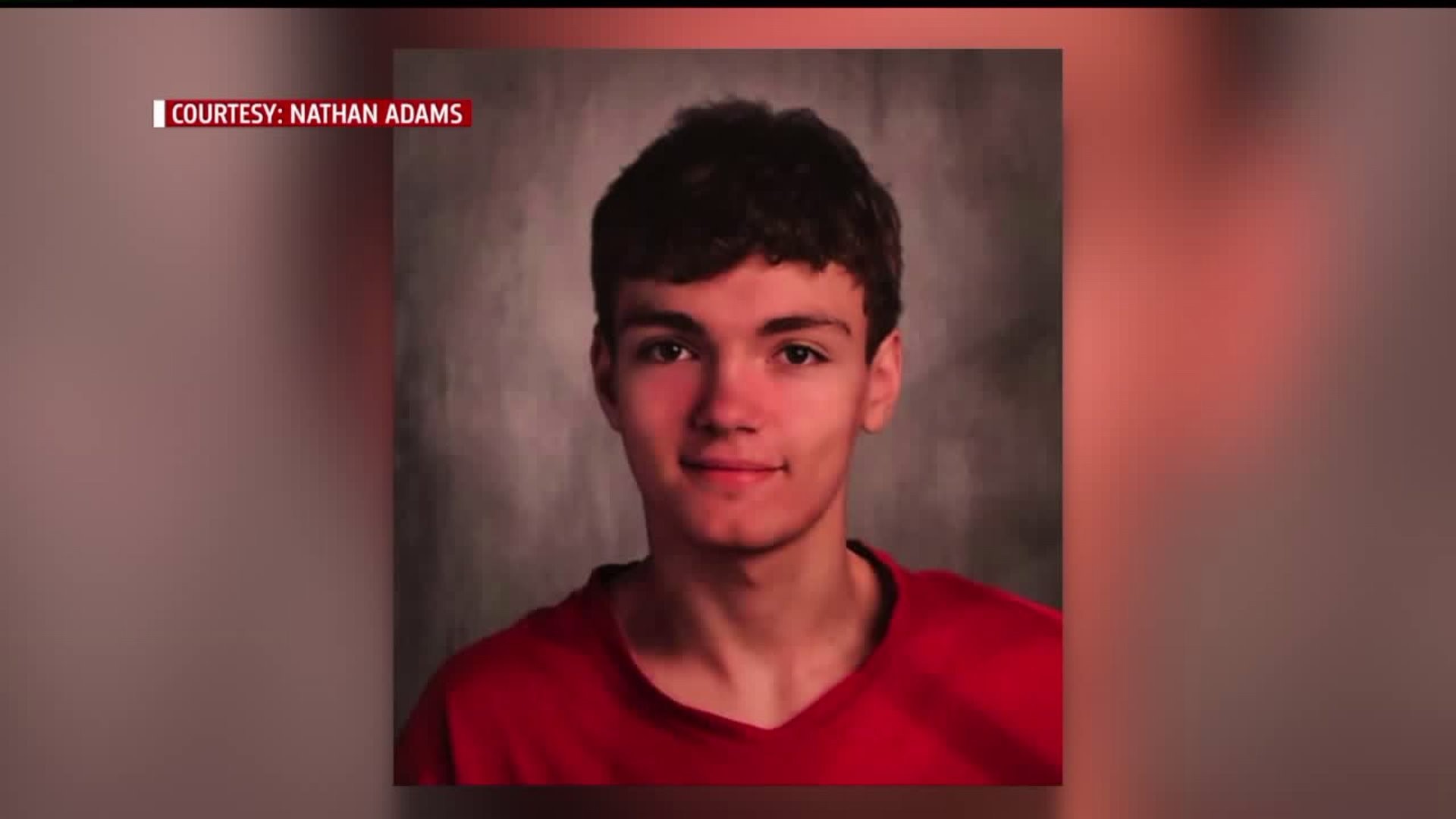 Man charged in death of teen who was beaten at community park in ...