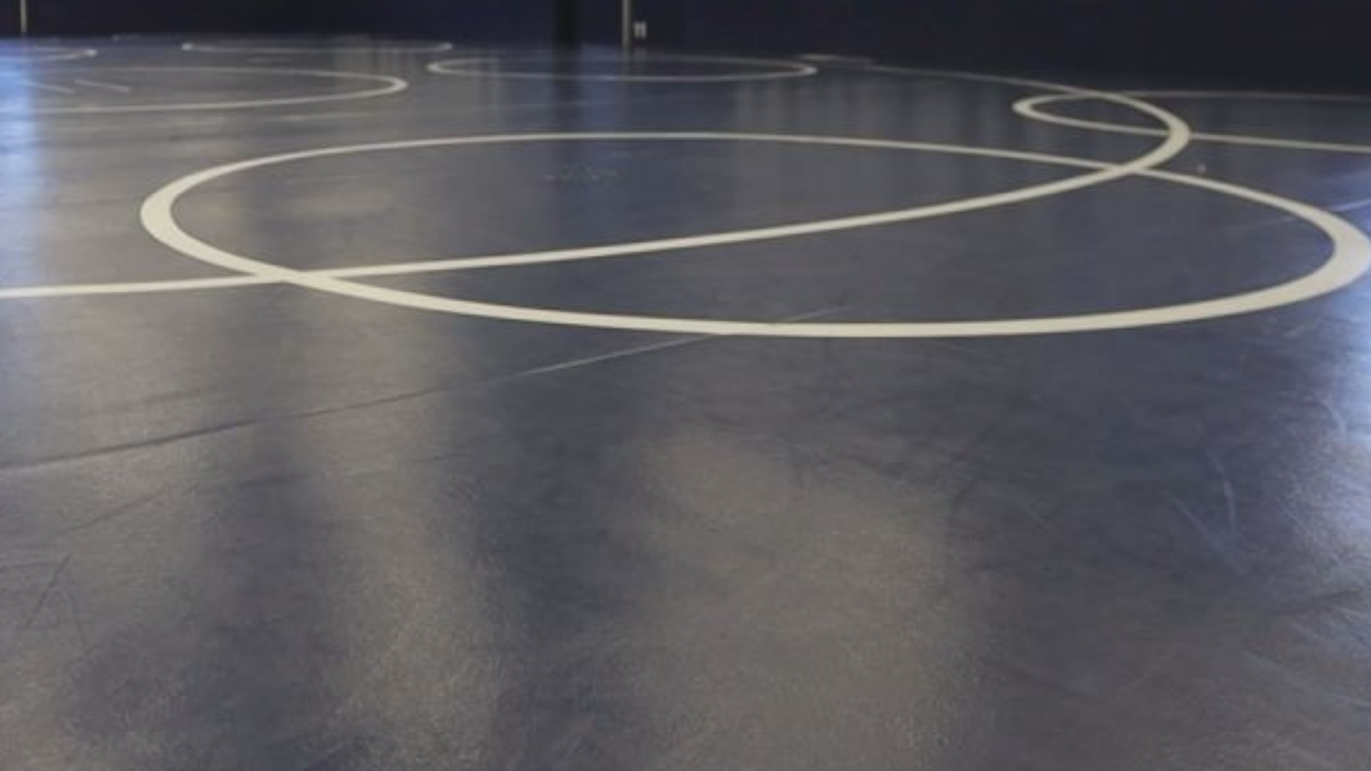 Palmyra wrestling coaches claim they faced retaliation for benching ...