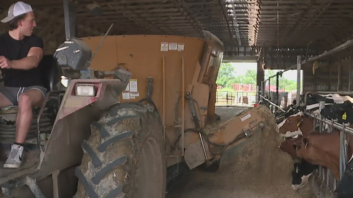 Working on a dairy farm | Tyler Tries It | fox43.com