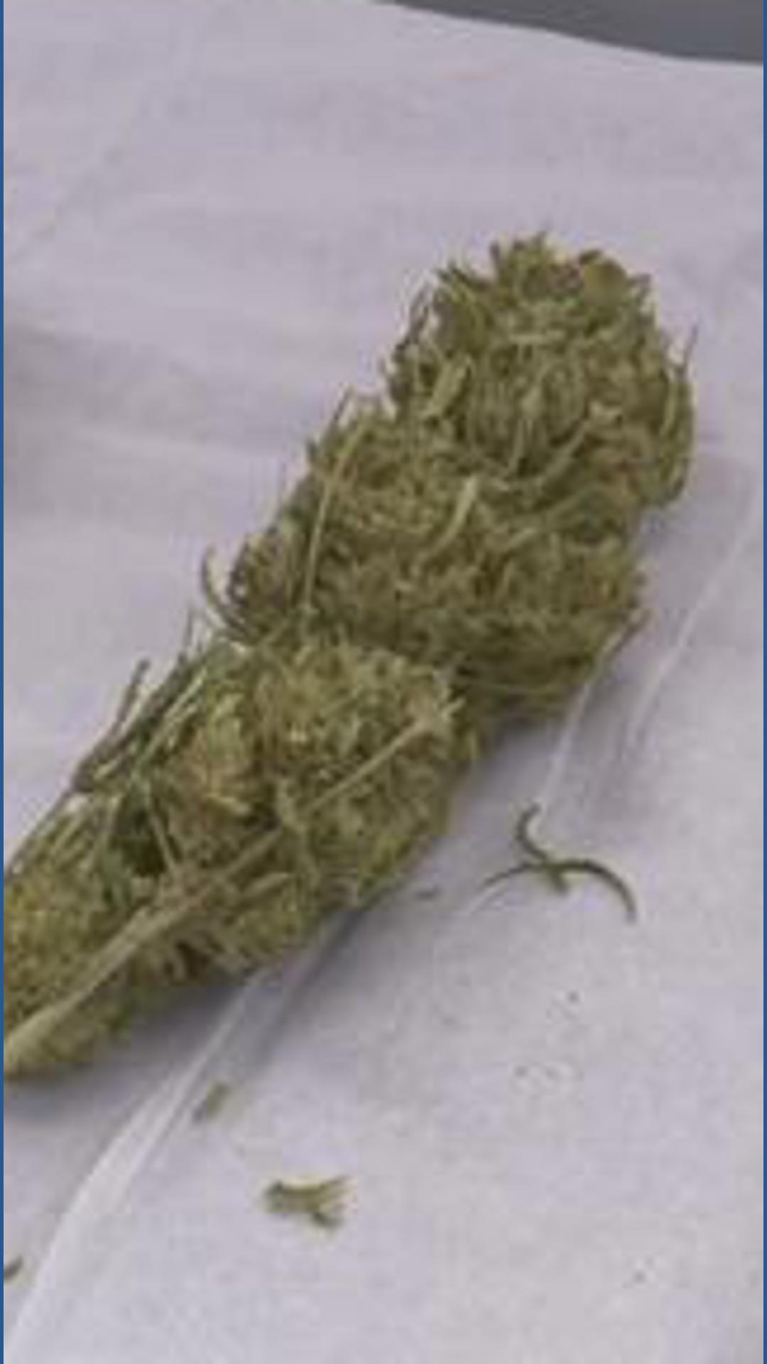 Looking closer at the DOJ's rescheduling of medical marijuana | fox43.com
