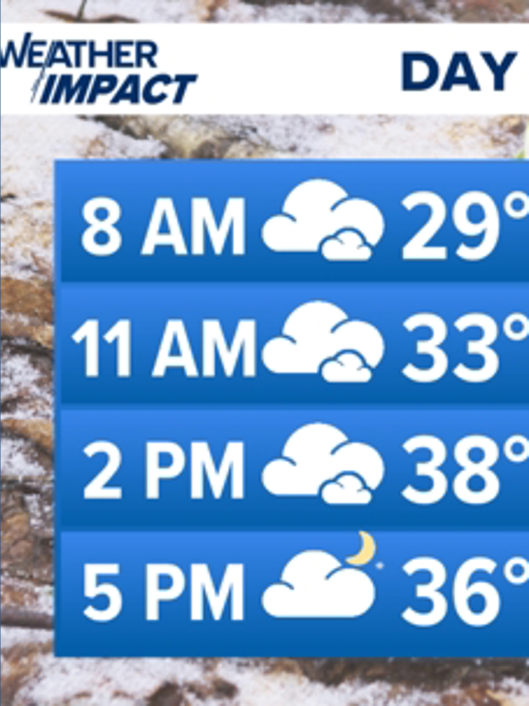 Pennsylvania delays LIHEAP due to 2025 federal shutdown | fox43.com