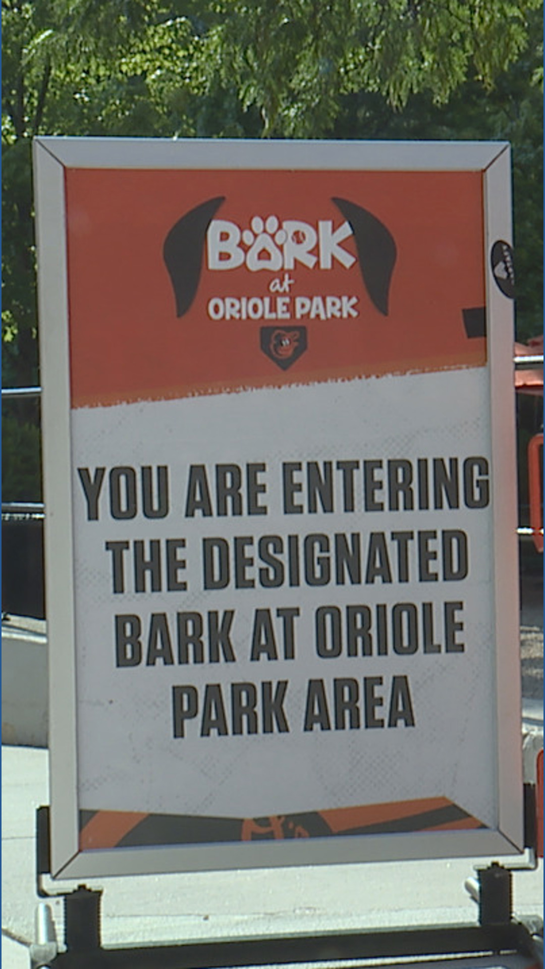 Orioles host 'Bark at Oriole Park' night | fox43.com