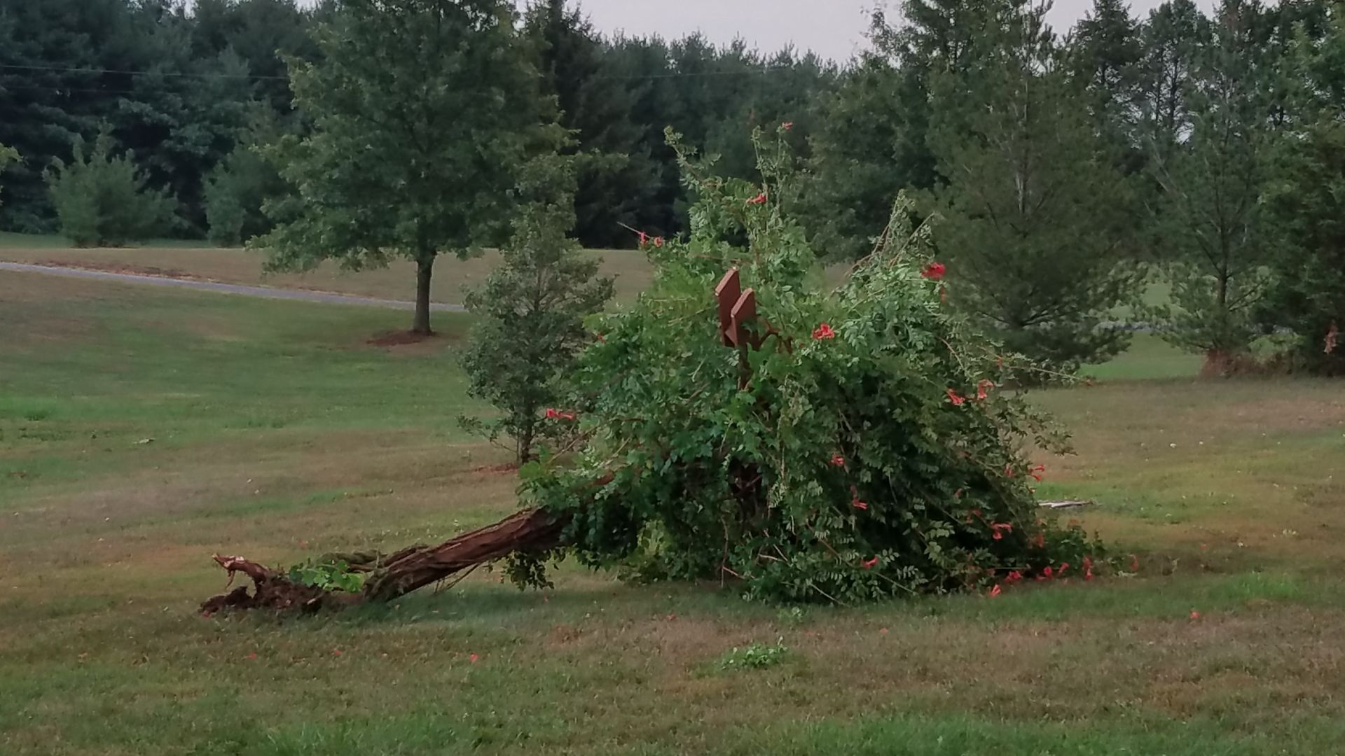PHOTO GALLERY: Severe storms hit Central Pa. on Tuesday | fox43.com