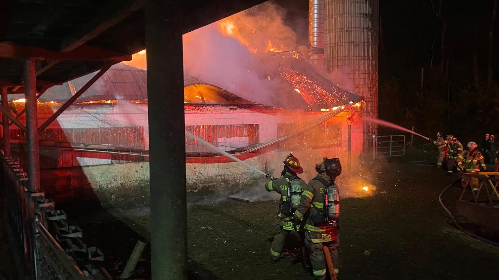 Cows rescued from barn fire in Lancaster County | fox43.com