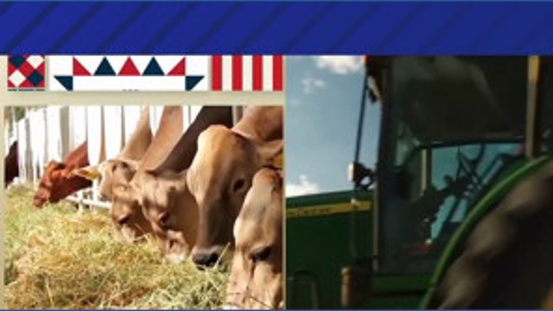 Celebrating the century mark for PA family-owned farms | fox43.com
