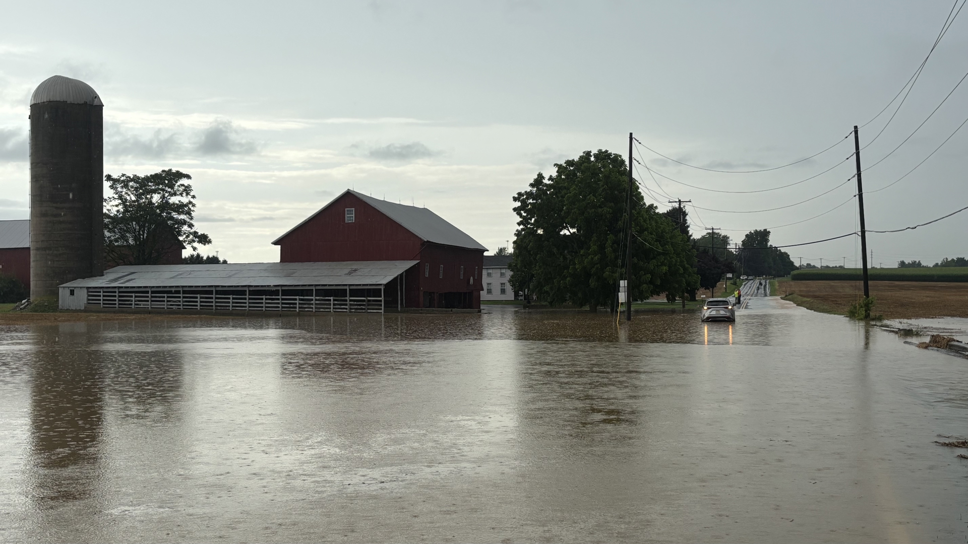Watch: Eagle Cam streams live coverage of Lancaster County nest | fox43.com