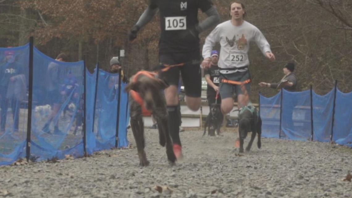 Canicross: An emerging sport that teams up athletes with their dogs ...