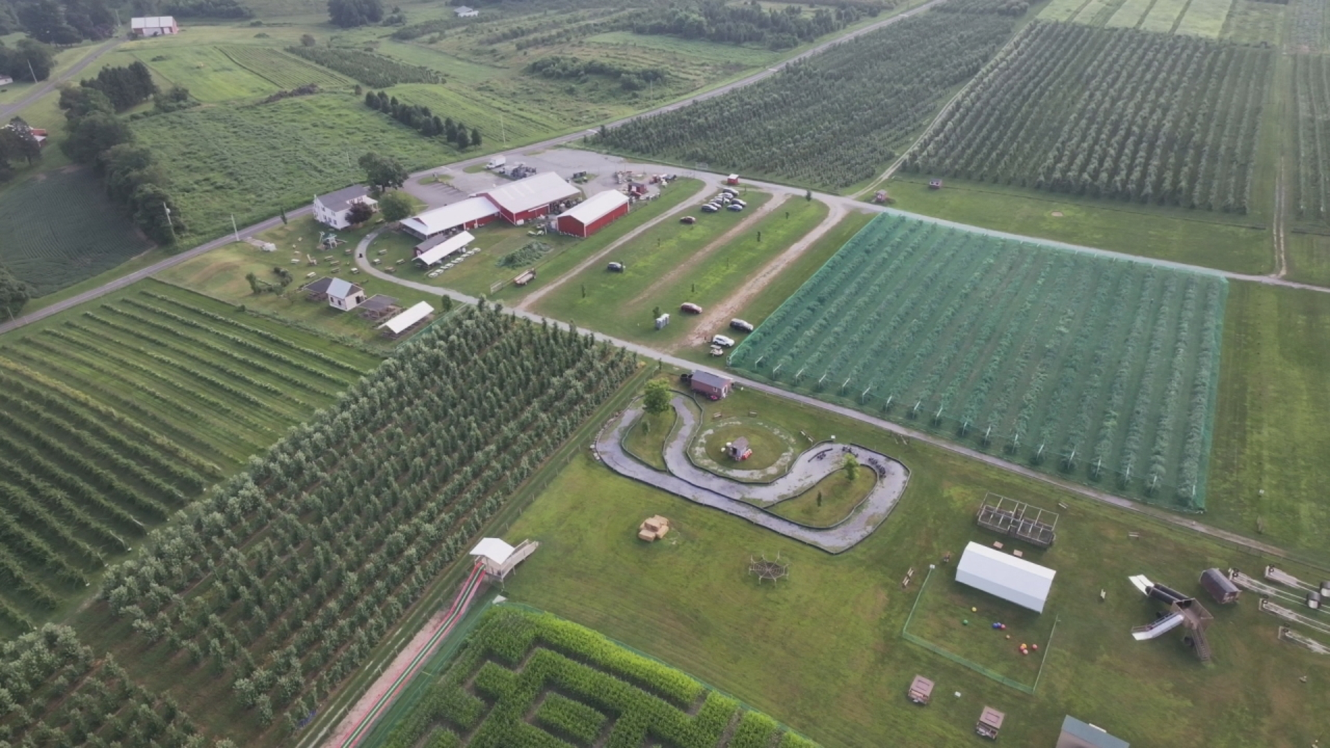 Heatwave contributing to corn sweat and rapid plant growth | fox43.com