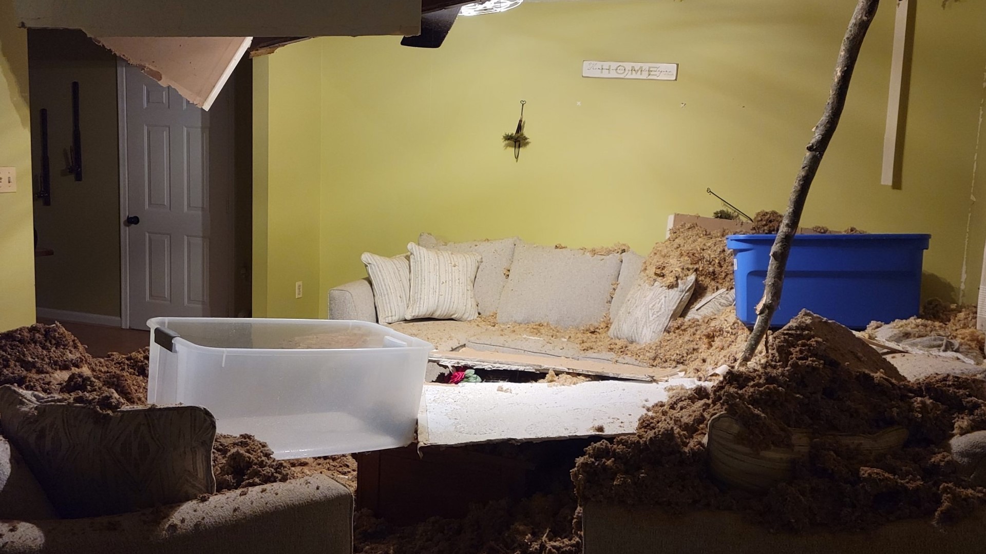 Tree falls, damages Peach Bottom Township home | fox43.com