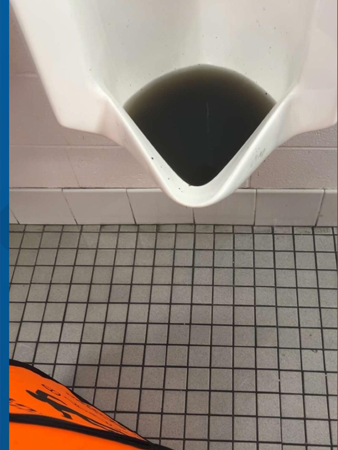 Students, teachers speak out on Elizabethtown High School sewage, mold ...