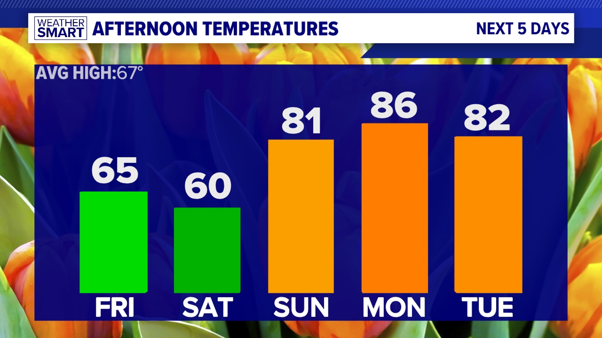 FOX43 Weather Forecast | fox43.com