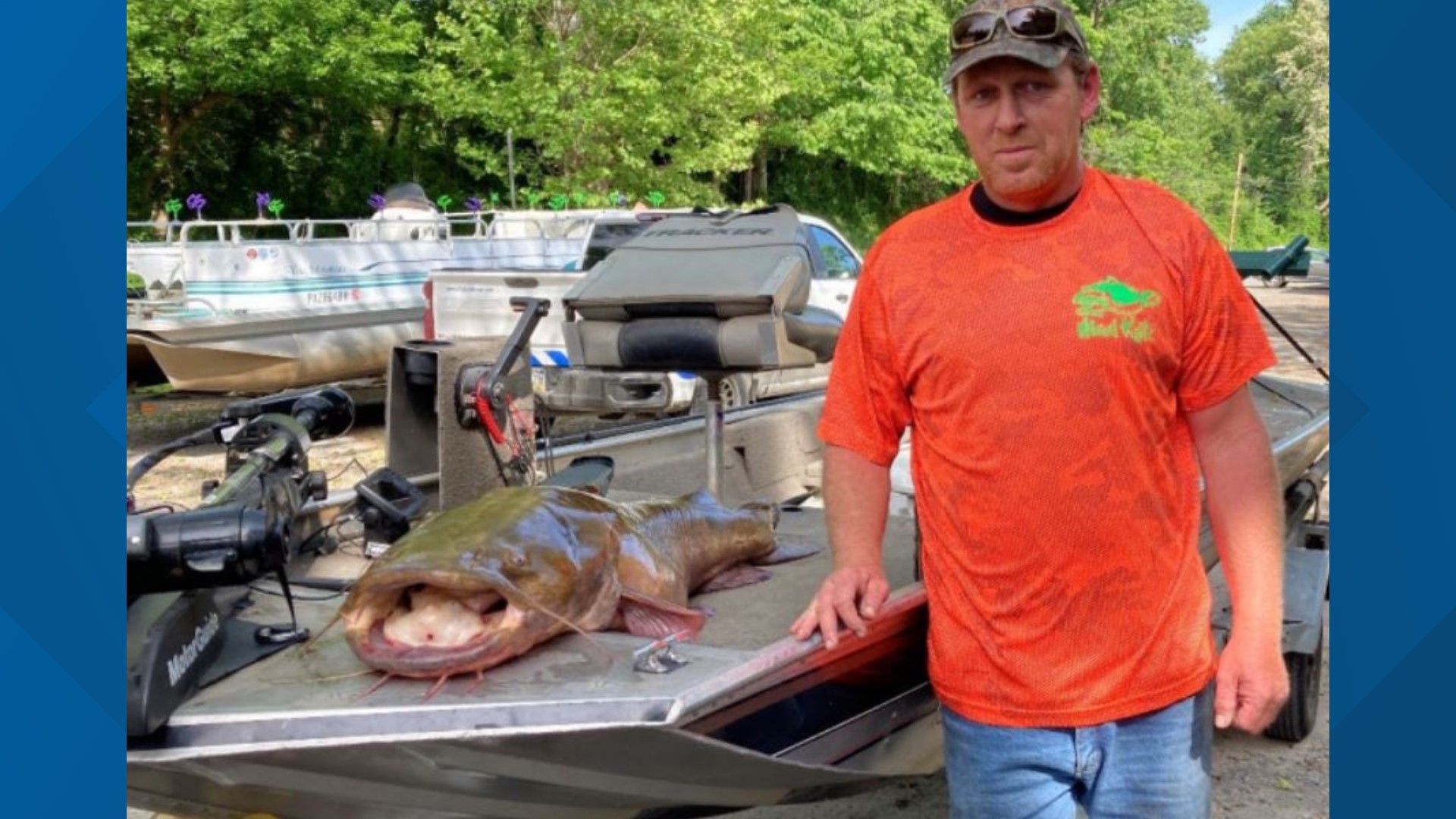 Mammoth 66-lb. flathead catfish hauled from the Susquehanna River last ...