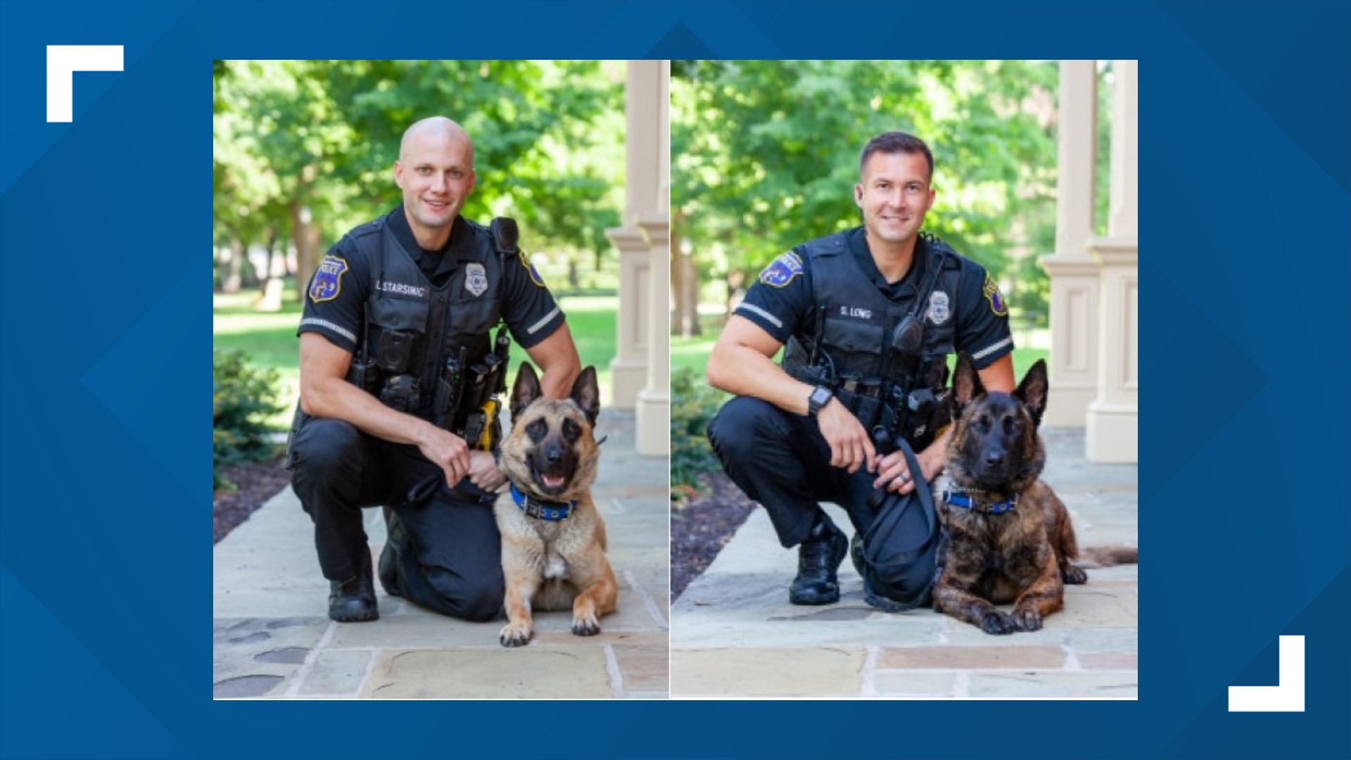 Manheim Township Pd Introduces New K9 Officers