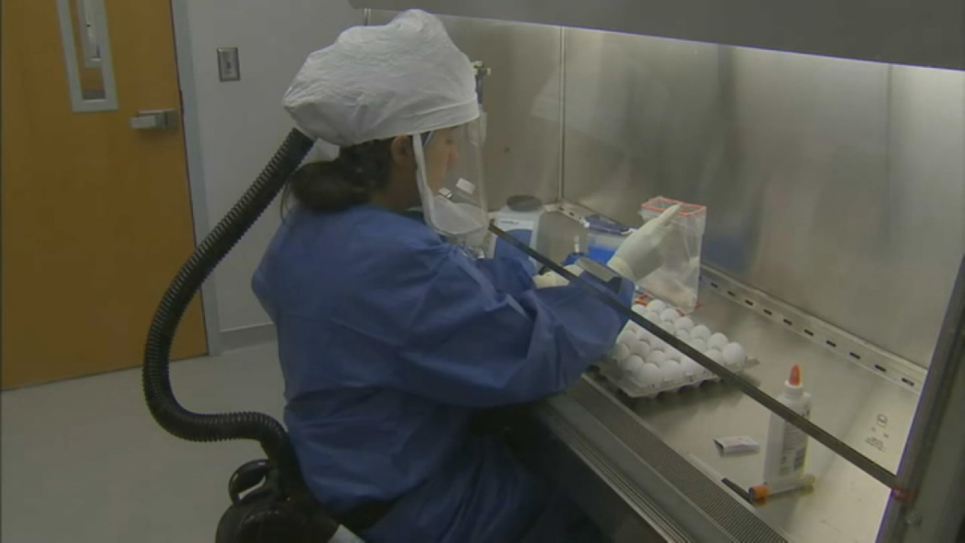 USDA conditionally approves bird flu vaccine | fox43.com
