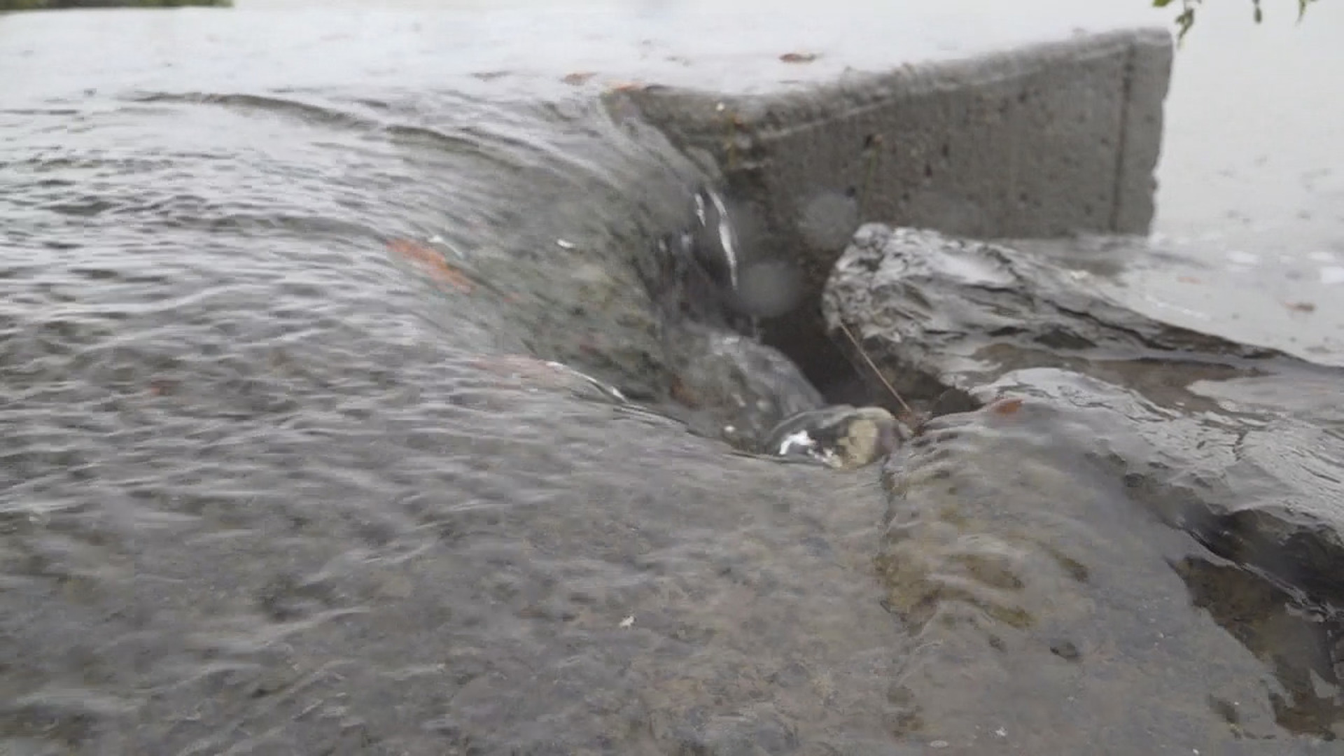 High E. coli levels detected in Susquehanna tributaries | fox43.com