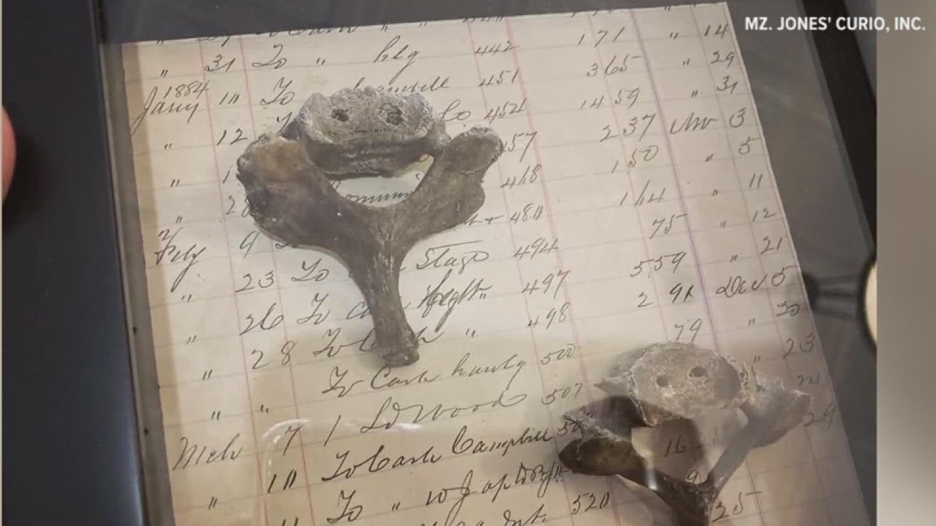 Noodles & Company plans dozens more closures in 2026 | fox43.com