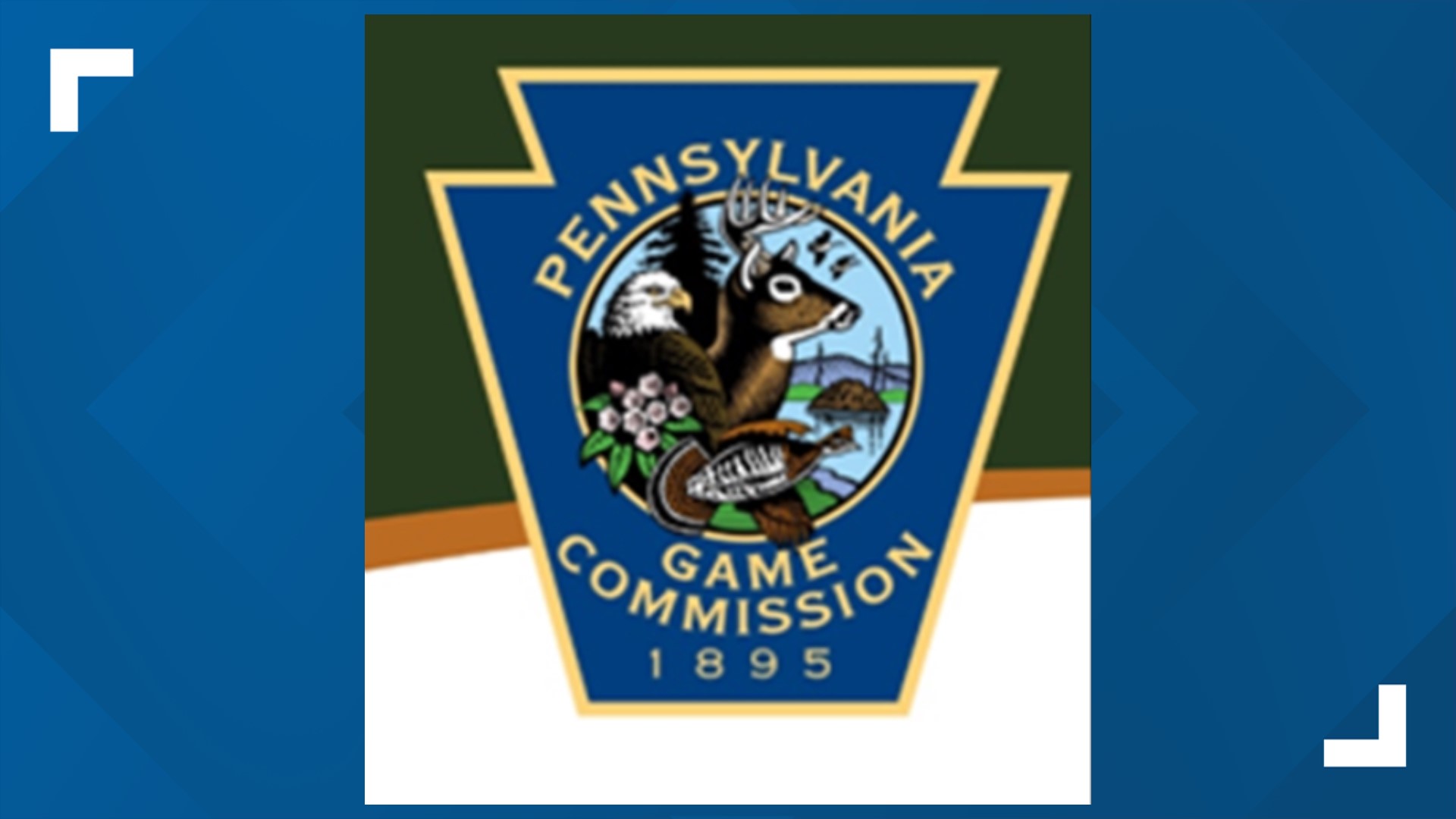 Over 8,000 pheasants will be released in Pa. next week | fox43.com