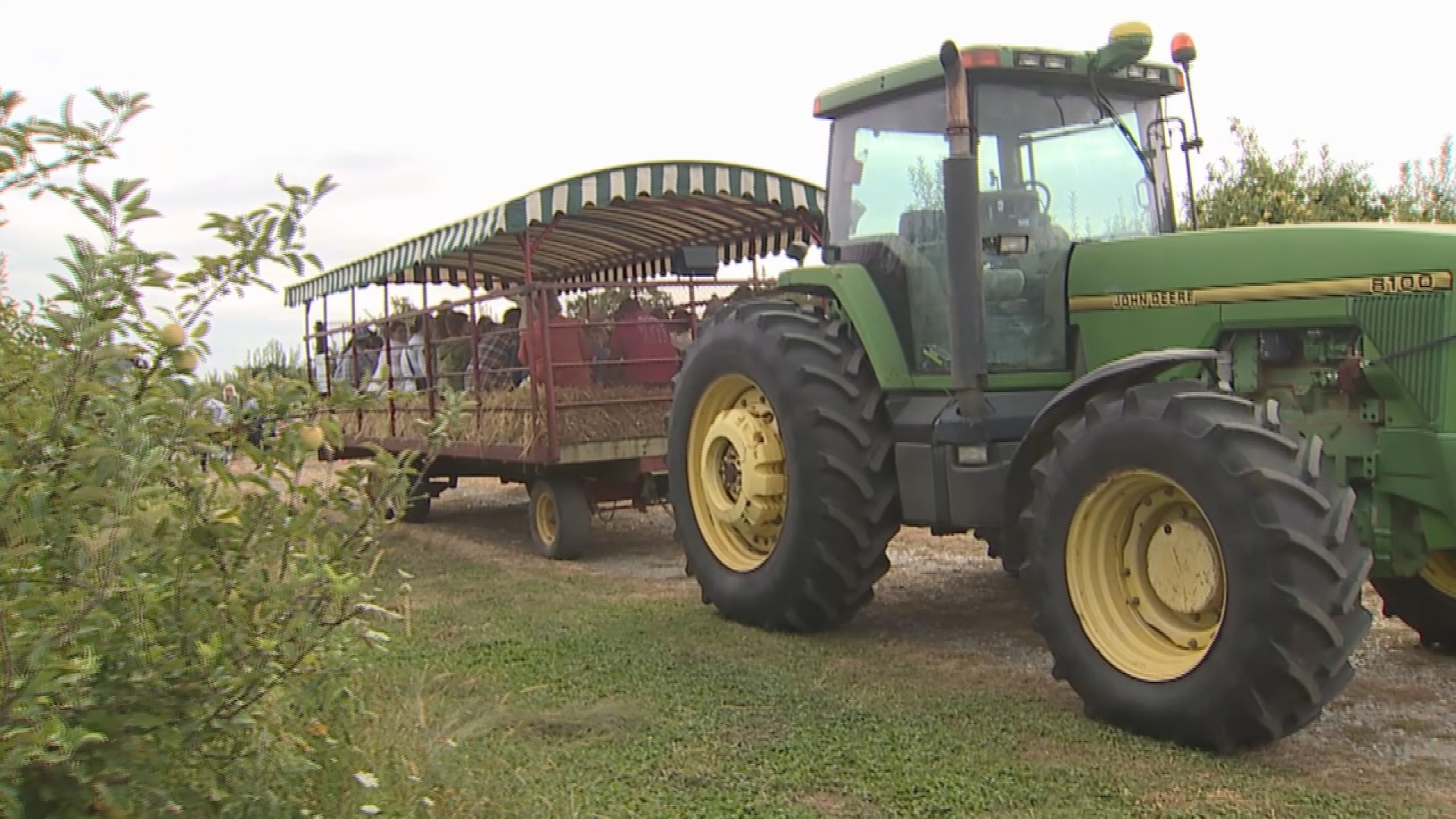 Maple Lawn Farms kicks off fall with pumpkin patch and wagon rides ...