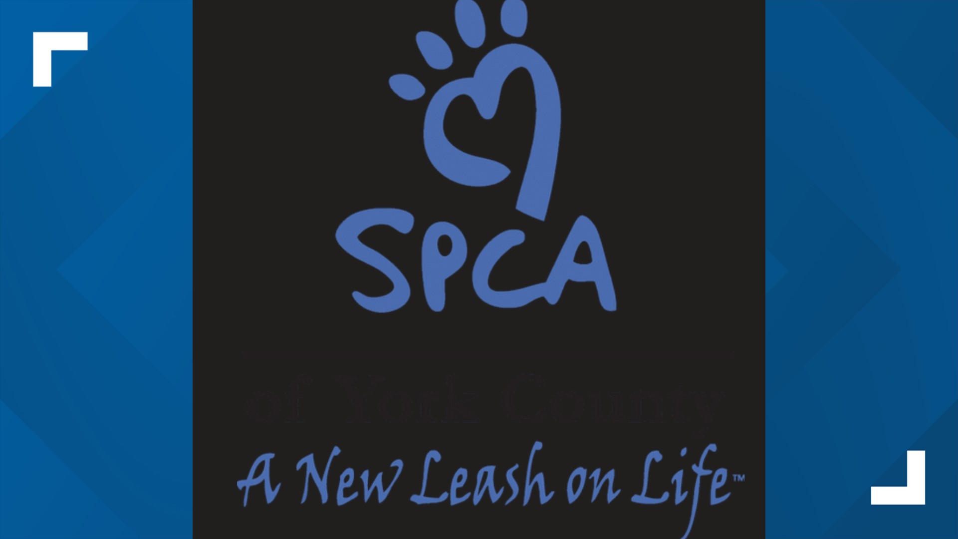Half-price dog adoption event set for Jan. 21 at York County SPCA ...