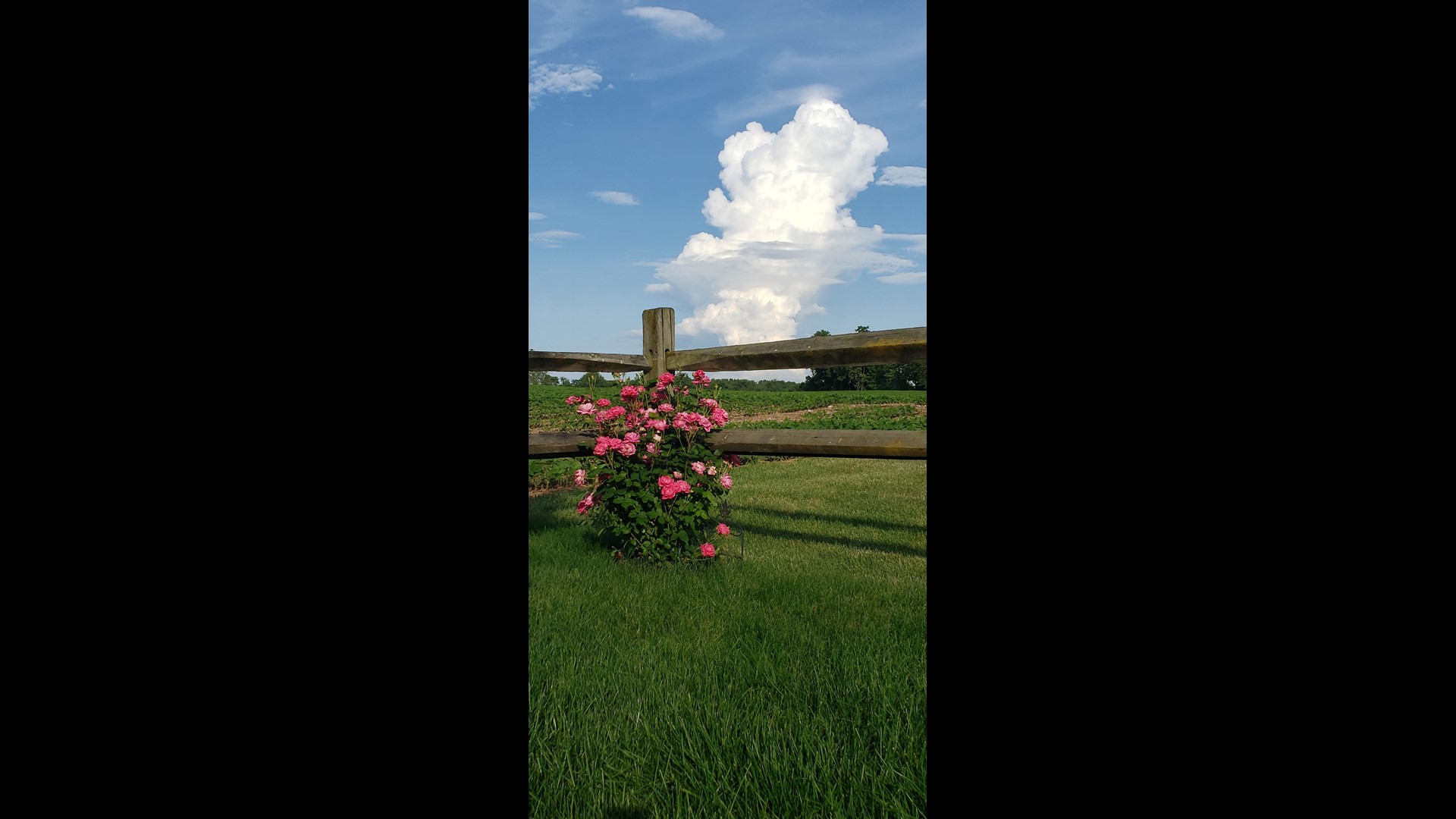 The season of the 'popcorn' thunderstorm | Bradon's Barometer | fox43.com