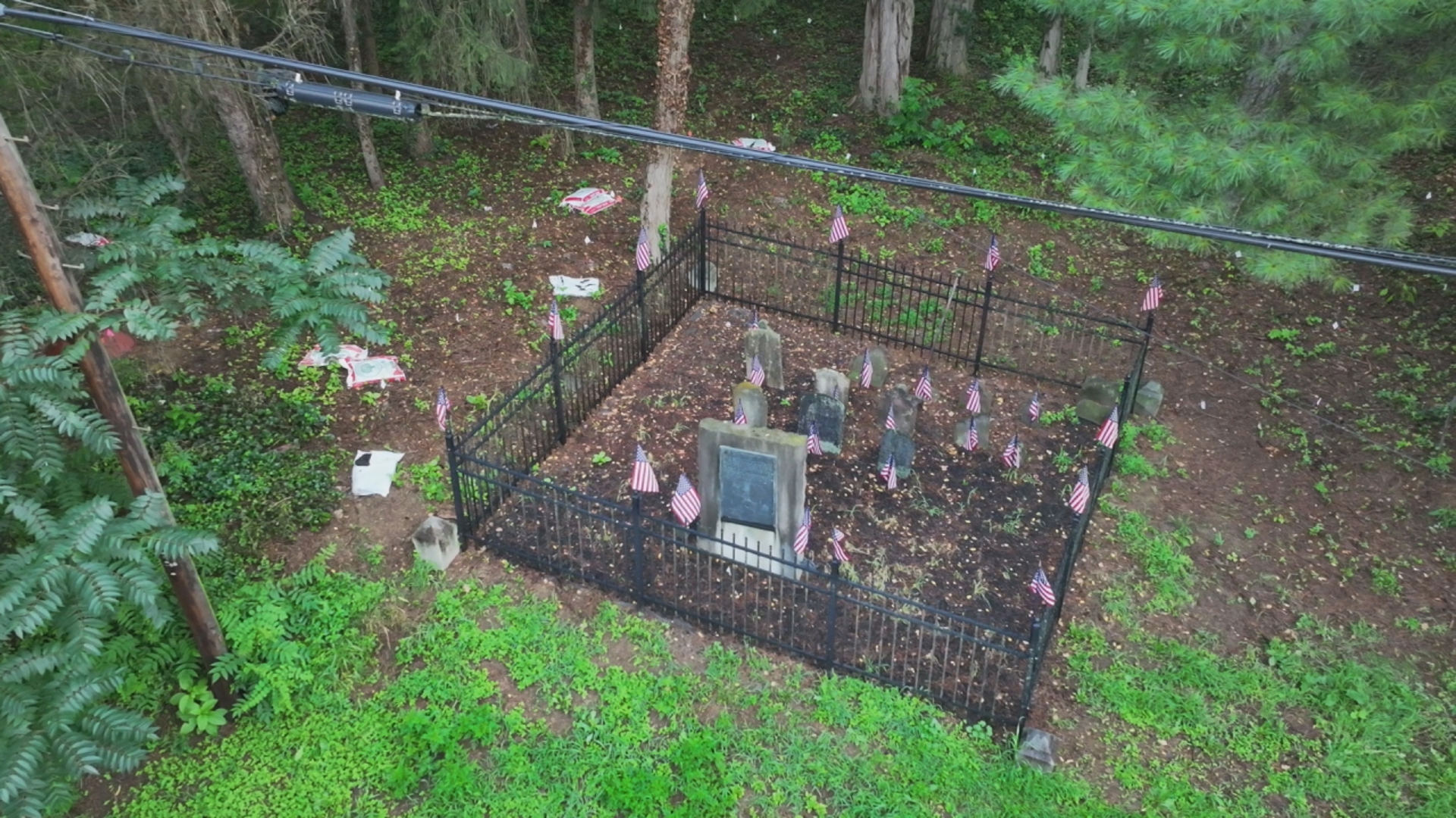 Historic cemetery needs professional tree felling | fox43.com