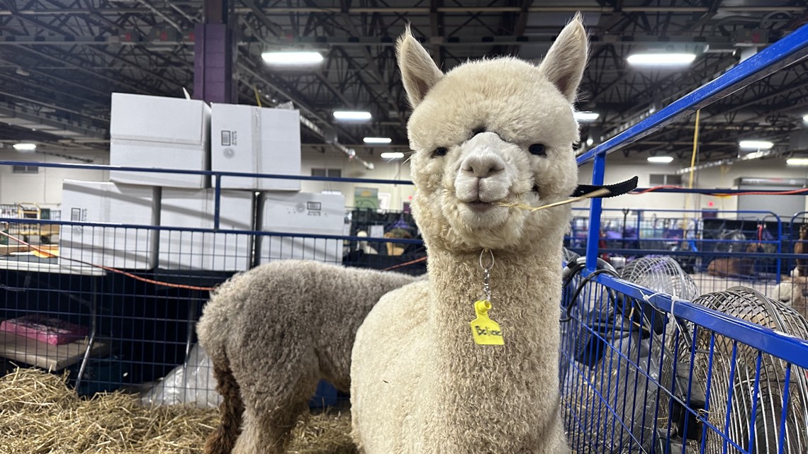 Parking, food, events: What to know ahead of the 2025 Pennsylvania Farm ...