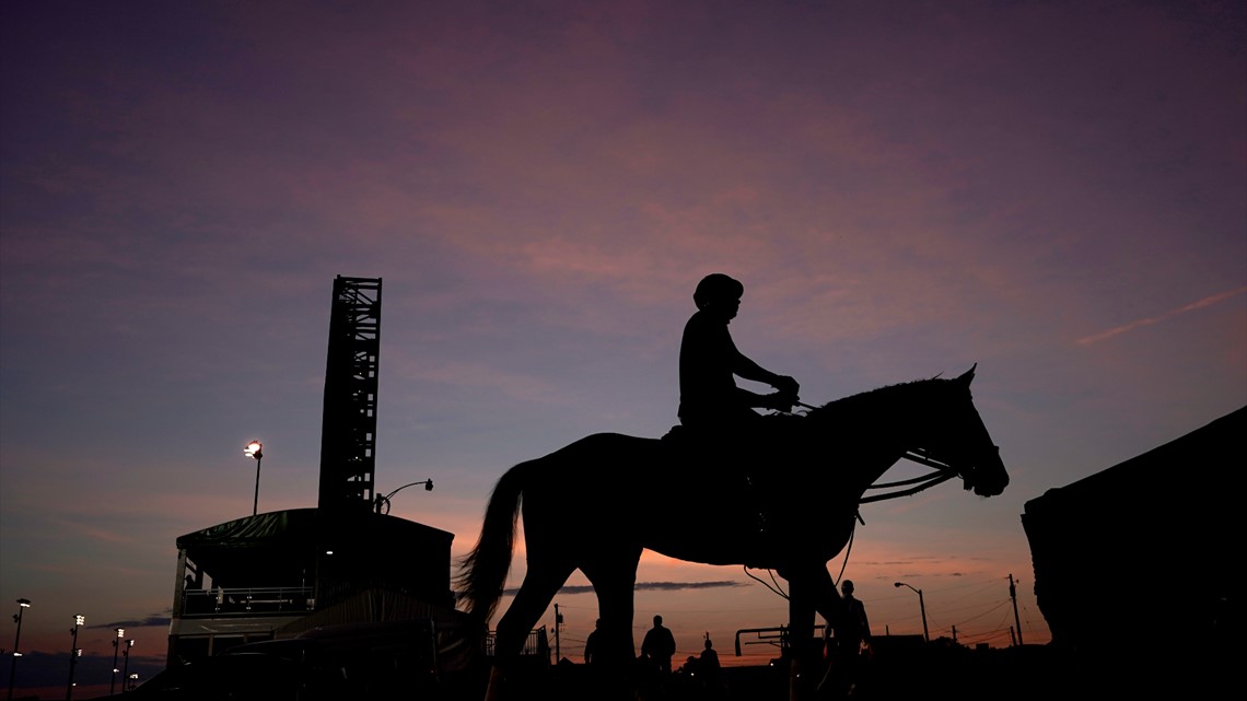 Advocates continue to fight against thoroughbred racehorse abuse and ...