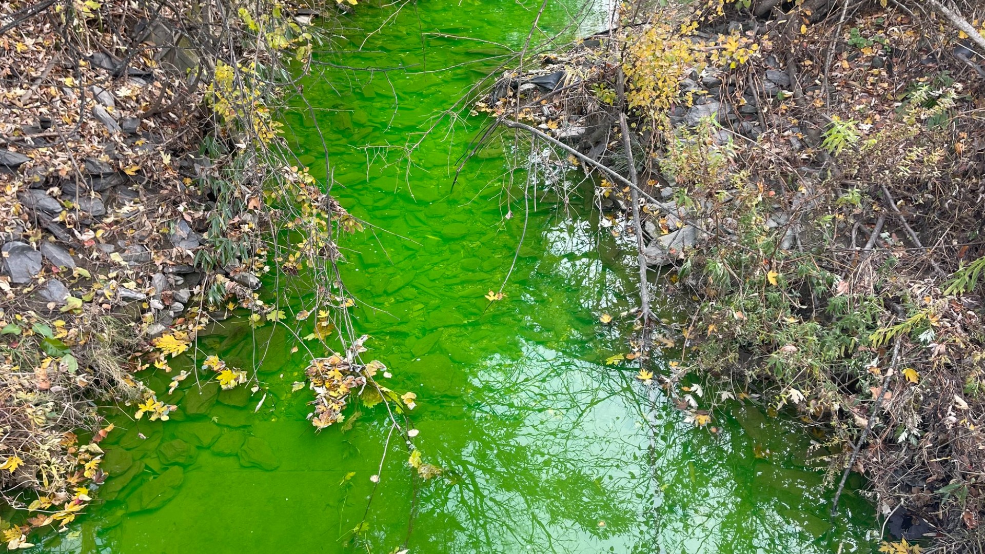 Creek turns green | fox43.com