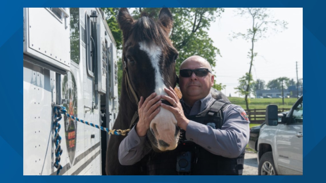 Former Lancaster Mounted Police horse Liam dies | wnep.com