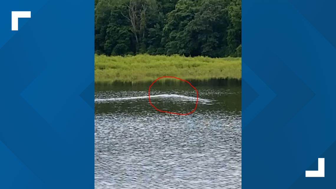 Fisherman claims to spot alligator in Pennsylvania lake | fox43.com