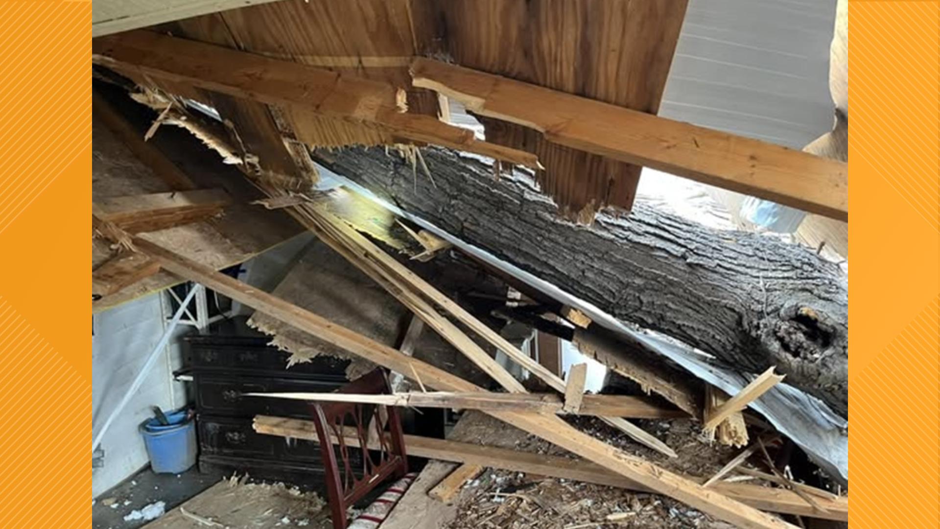 Tree falls through roof of Franklin County home | fox43.com