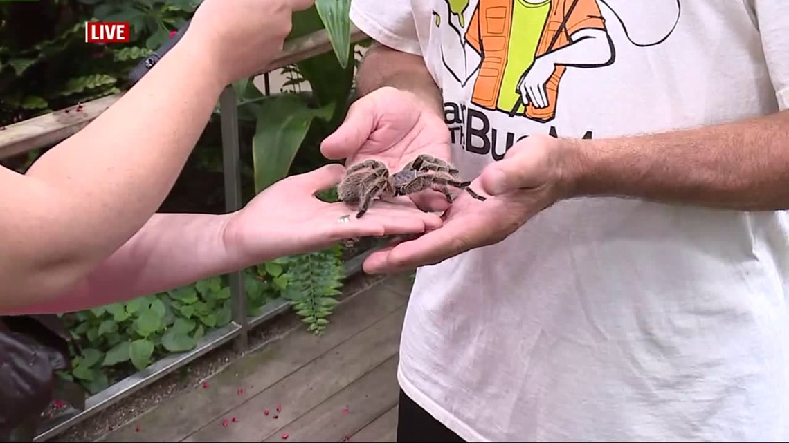 Bug-O-Rama returns to Hershey Gardens on Saturday | fox43.com