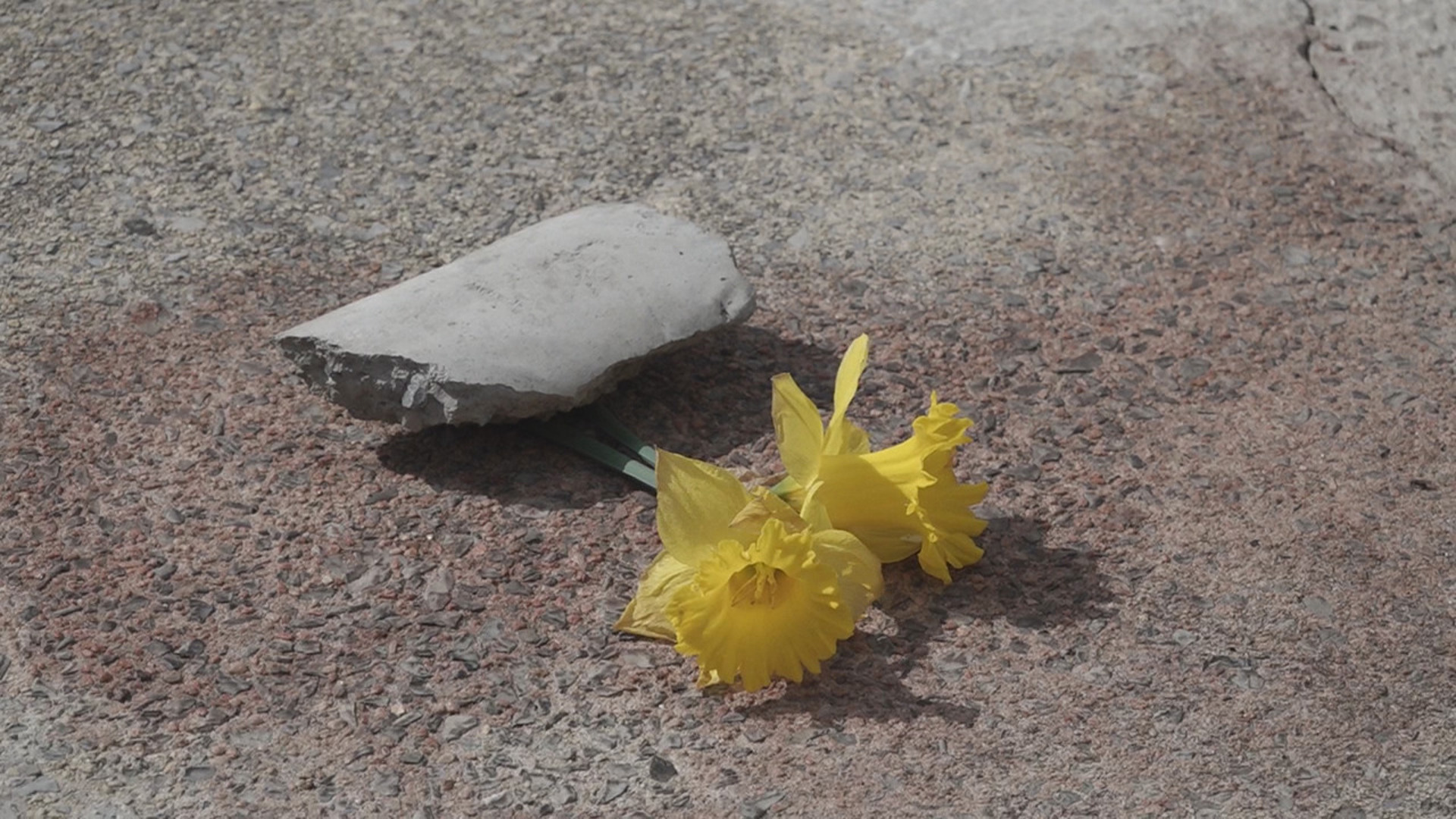 Community reacts to shooting of 26-year-old Harrisburg man | fox43.com