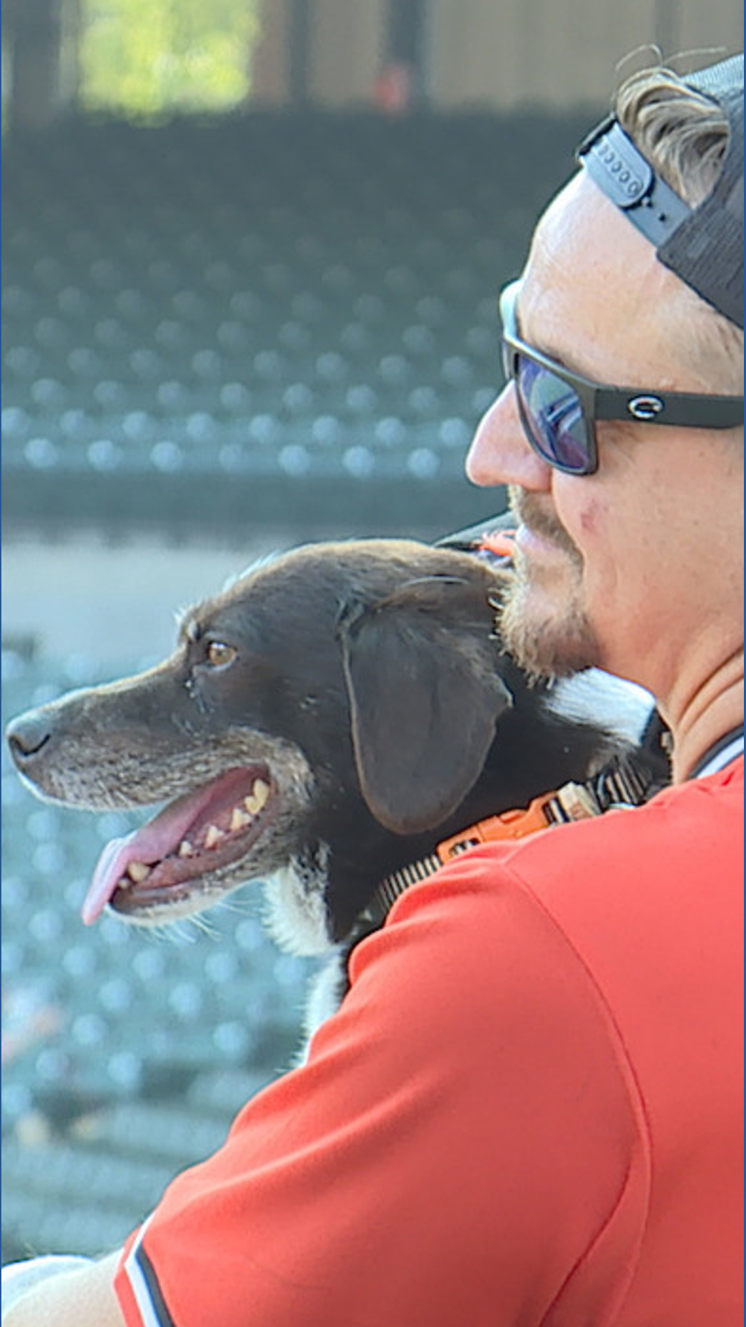 Orioles host 'Bark at Oriole Park' night | fox43.com