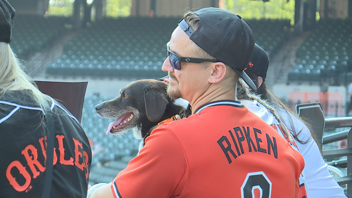 Orioles host 'Bark at Oriole Park' night | fox43.com