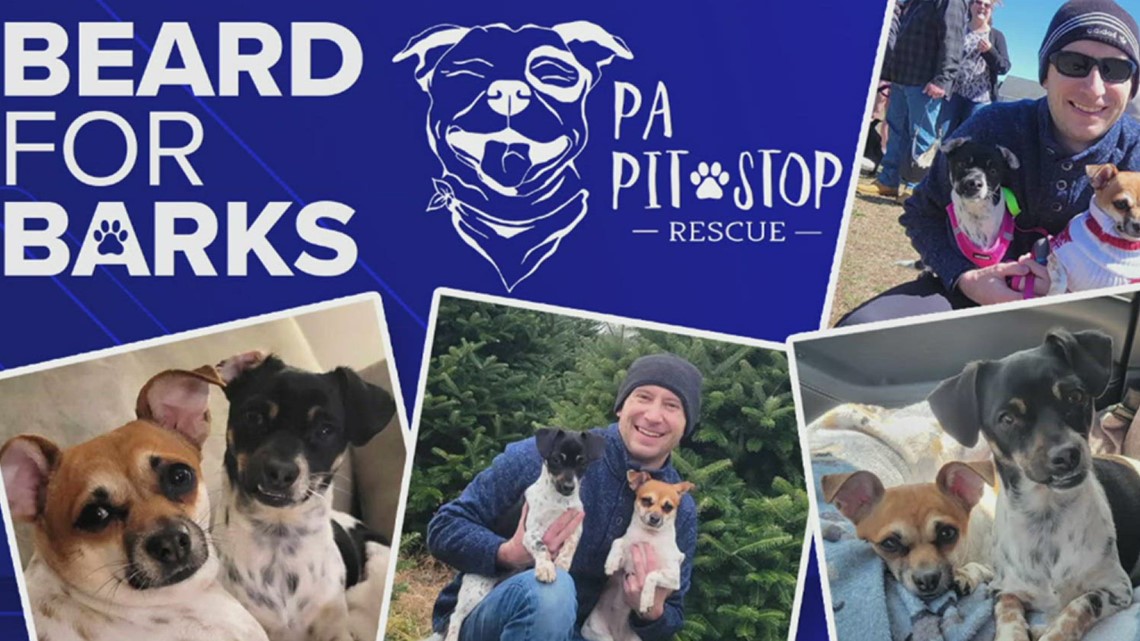 Area pet rescue, PA PitStop, seeks fosters and volunteers as they try ...