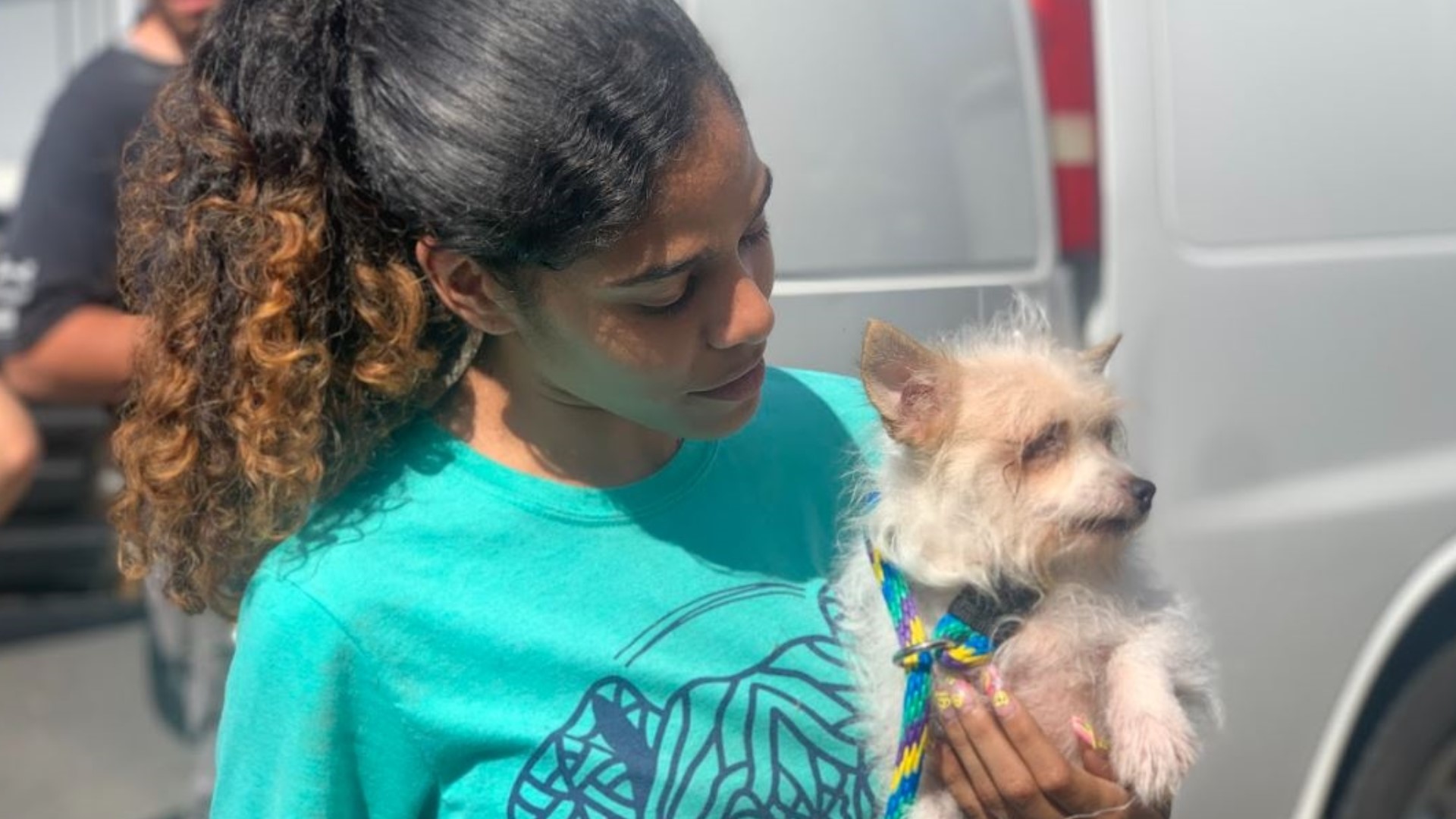 Pennsylvania SPCA rescues 100 animals from Quarryville property | fox43.com