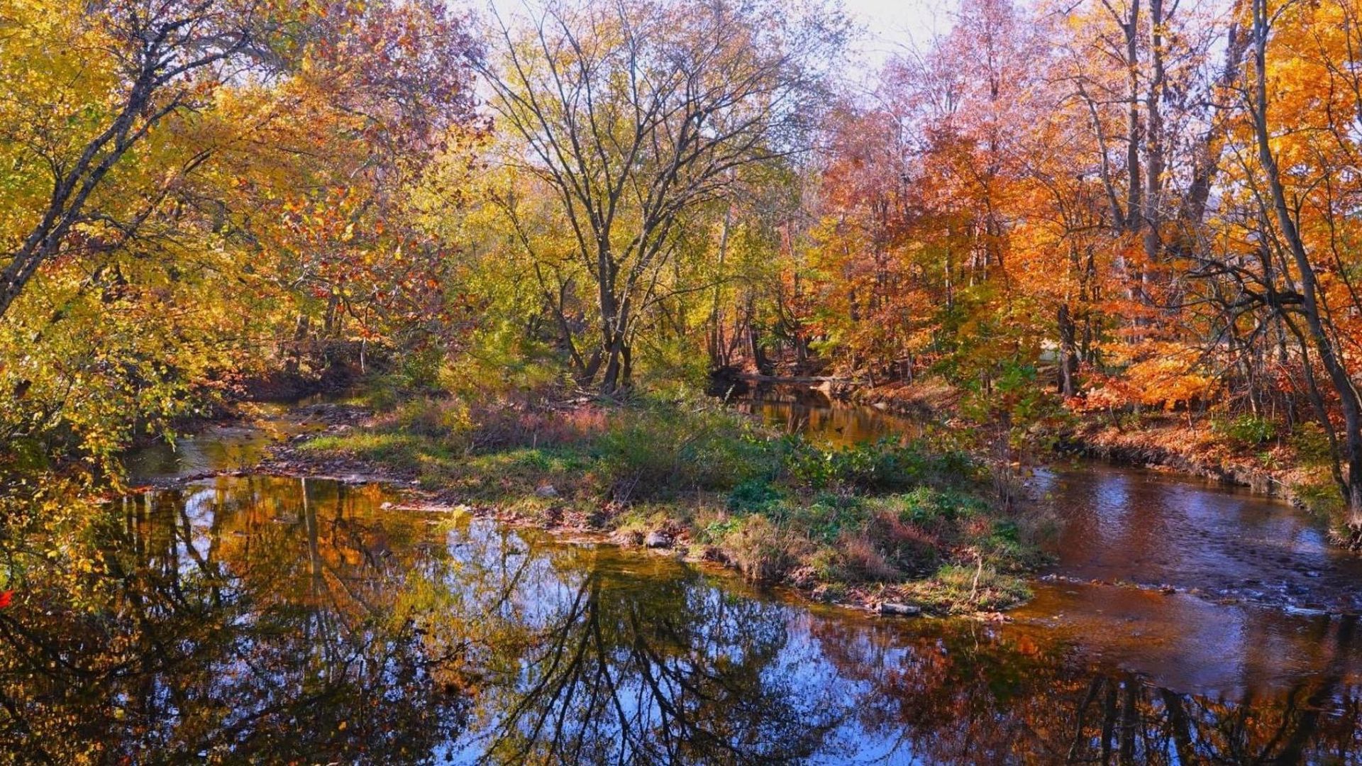 Fall emerges across central Pa. | PHOTO GALLERY | fox43.com