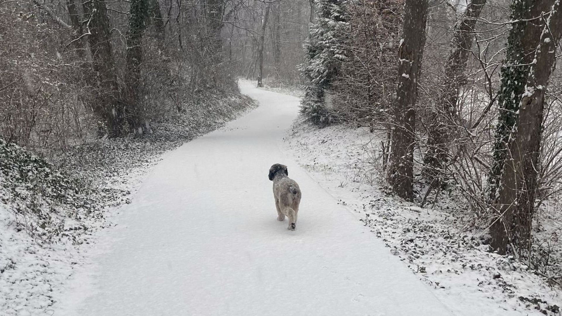 Winter in central Pennsylvania: PHOTO GALLERY | fox43.com