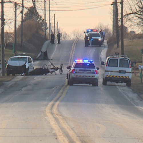 Coroner identifies woman killed in fatal DUI crash involving horse and ...