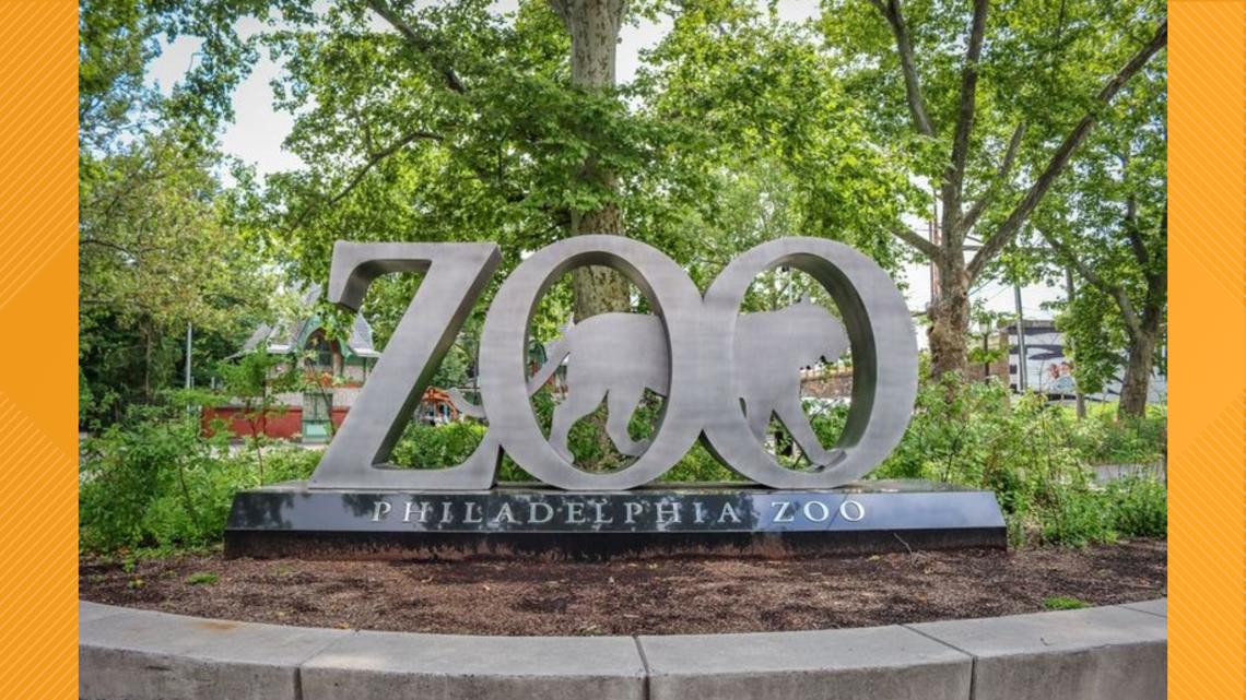 Philadelphia Zoo announces steep discounts and events for 150th ...