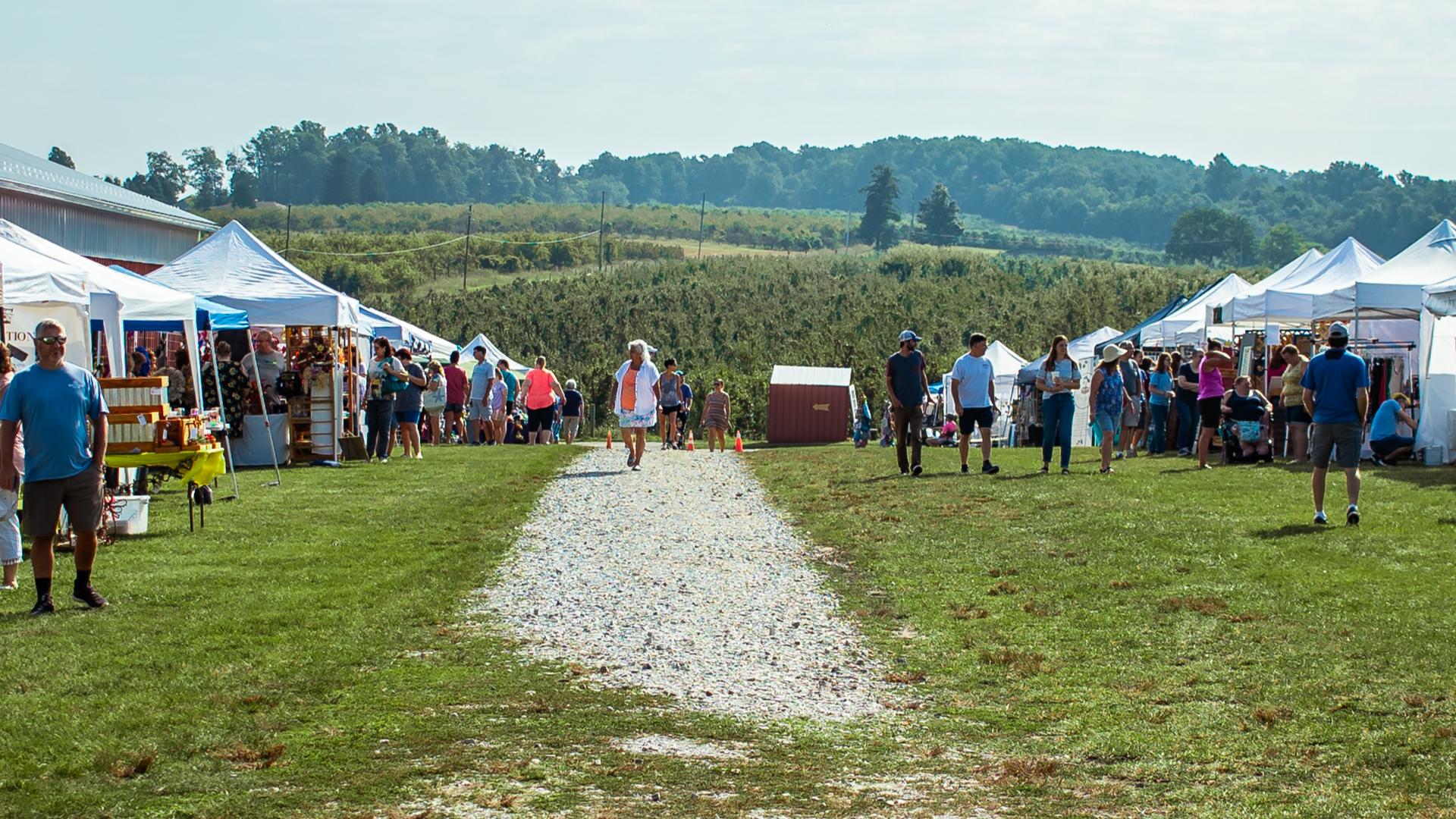Mt. Airy Orchards to host Peach Festival & Craft Show | fox43.com