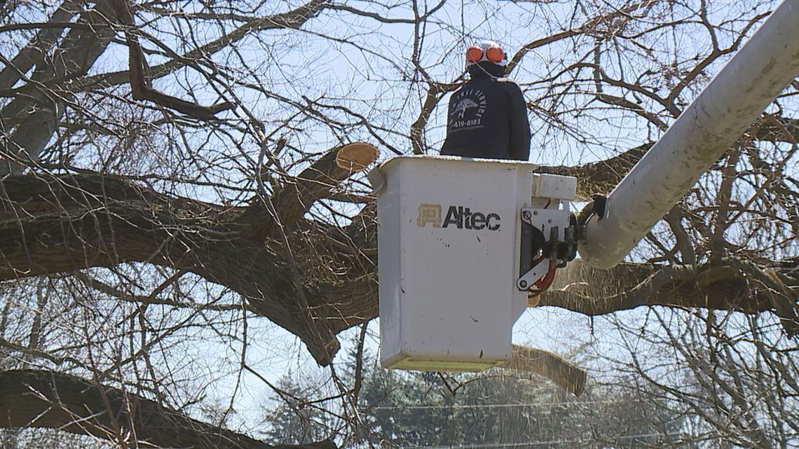Lancaster County tree service receives influx of emergency calls after ...