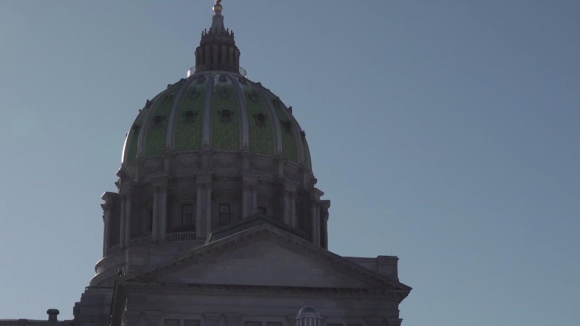 What are snow fleas? Why tiny black bugs show up on snowy days | fox43.com