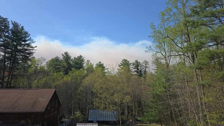 Live Updates | Michaux State Forest fire in Cumberland, Franklin ...
