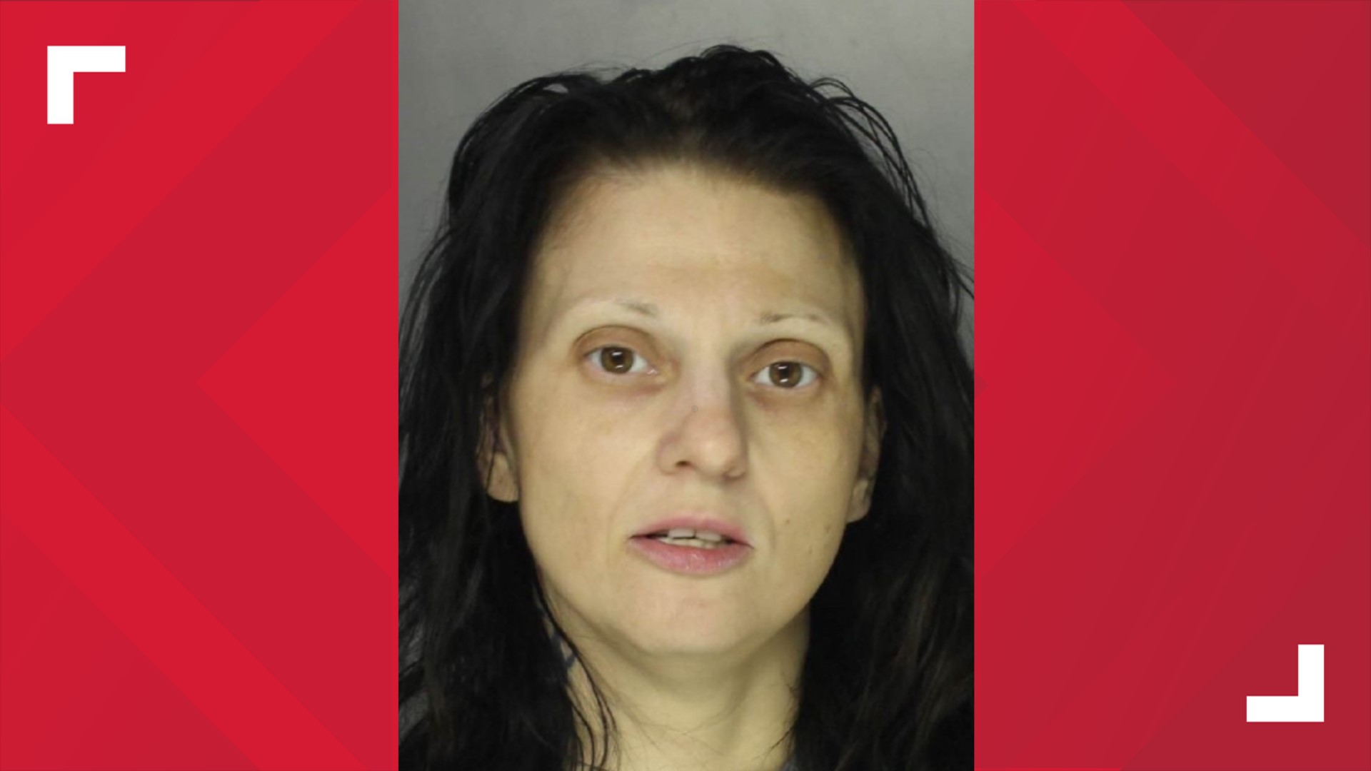 Highspire woman charged with strangulation, simple assault, endangering ...